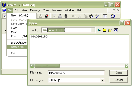 Winlink 2000 Radio-Email System Overview
